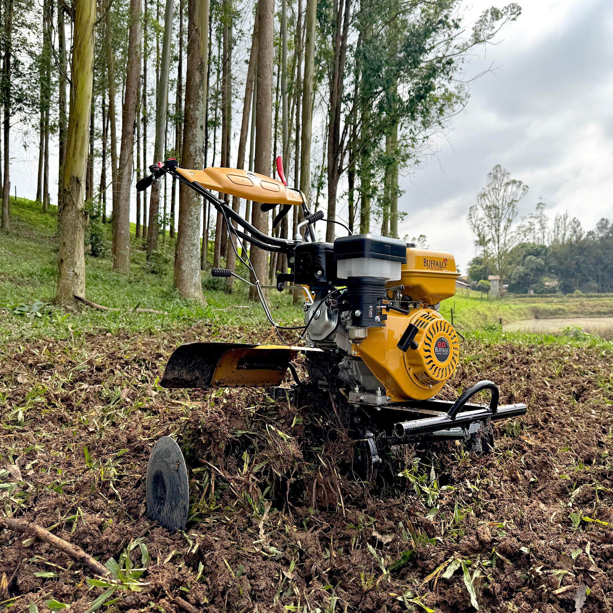 Motocultivador BFG 1000 a Gasolina 9HP Buffalo